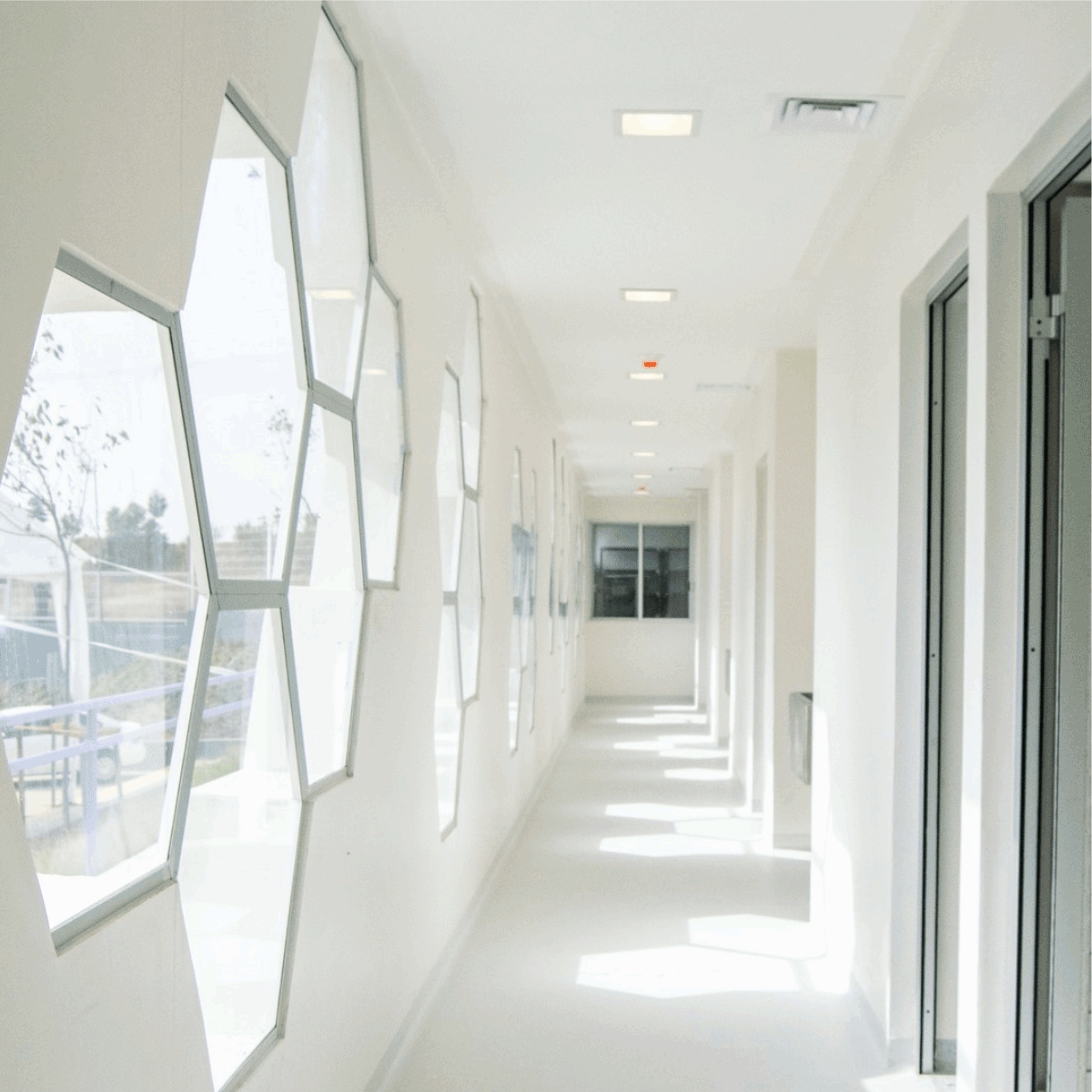 mgarquitecto.com.mx - Berlin